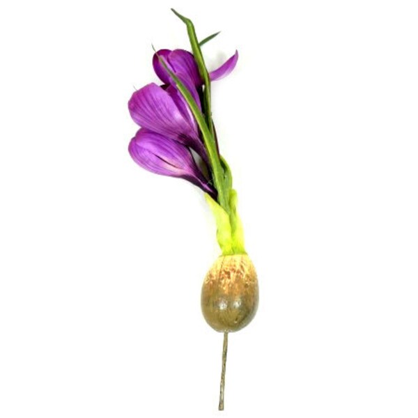 Purple Crocus - Etsy