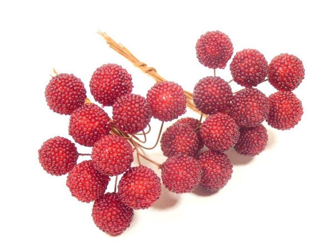 24 Red Berries Artificial Berries Fake Berries Wreath Cake Topper ...