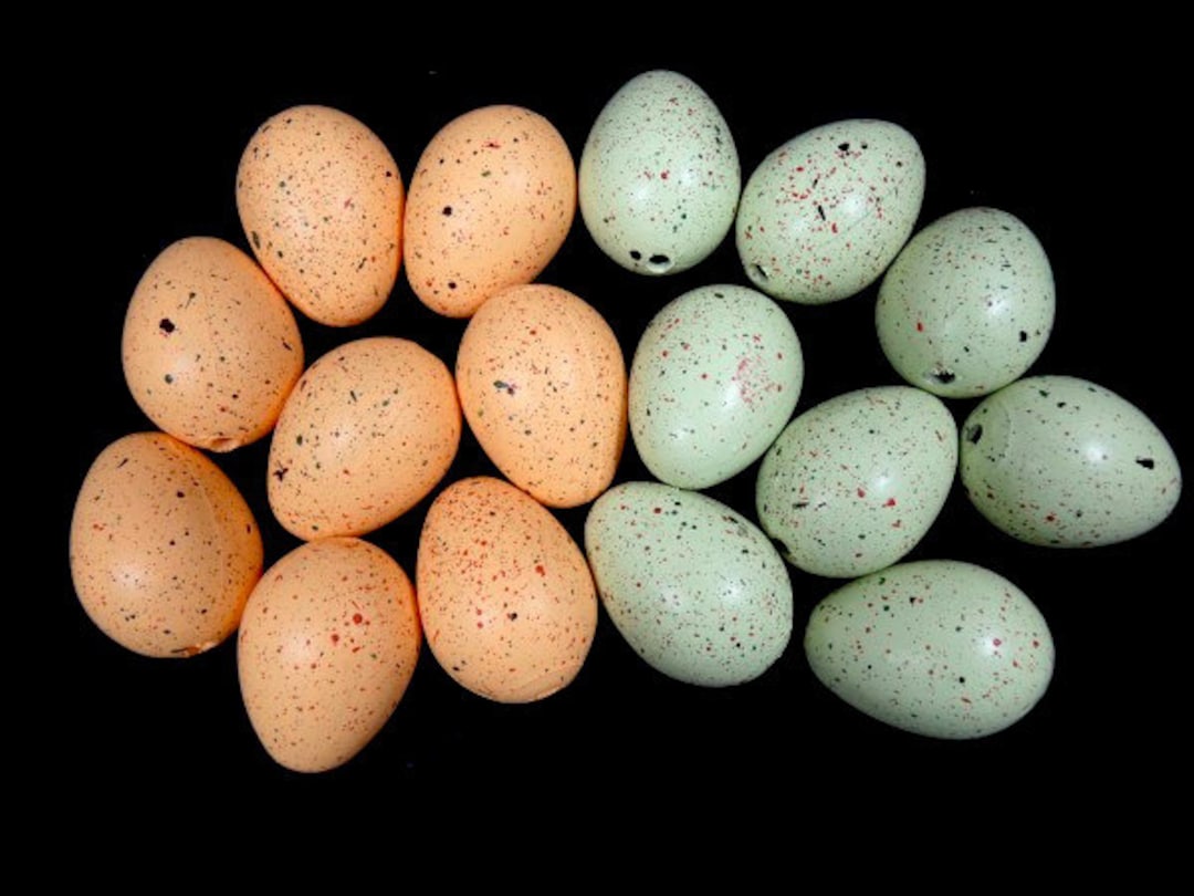 Speckled Bird Egg Identification