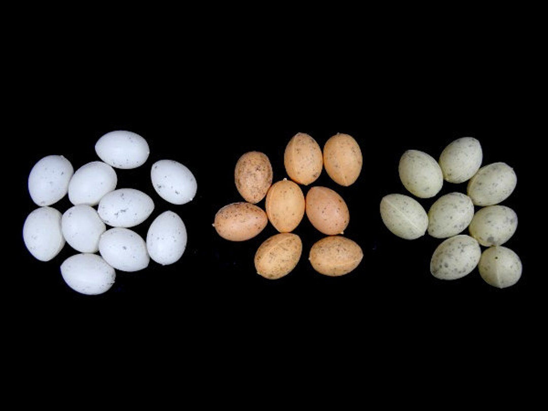 25 Fake Quail Eggs Speckled Eggs Bird Eggs Mini Eggs Easter Eggs Craft ...