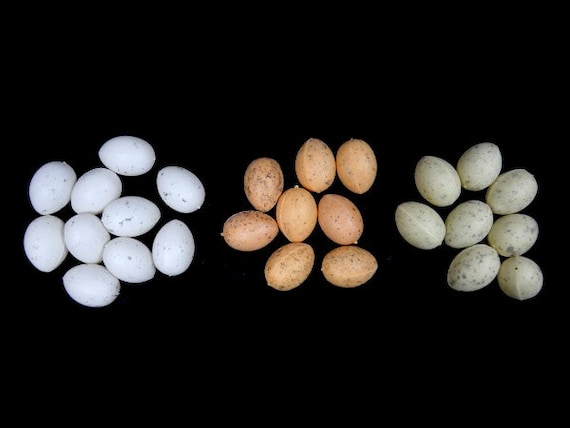 25 Fake Quail Eggs Speckled Eggs Bird Eggs Mini Eggs Easter - Etsy ...