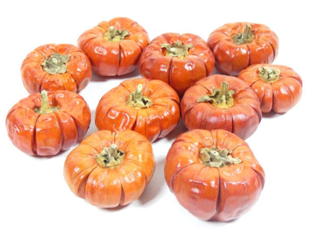 10 Dried Mini Pumpkins Wreath Making Dried Ornament Dried Fruit ...