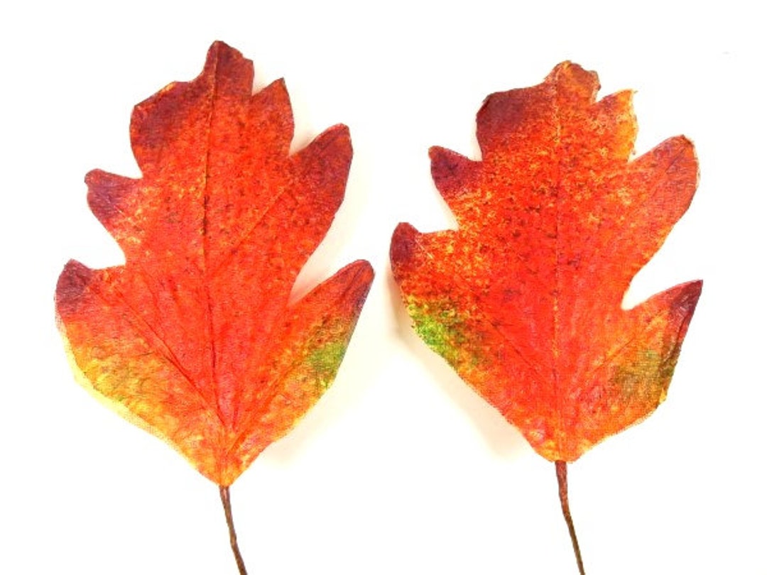2 Big Autumn Leaves Fall Leafs Leaves Artificial Leaves Craft Supplies ...