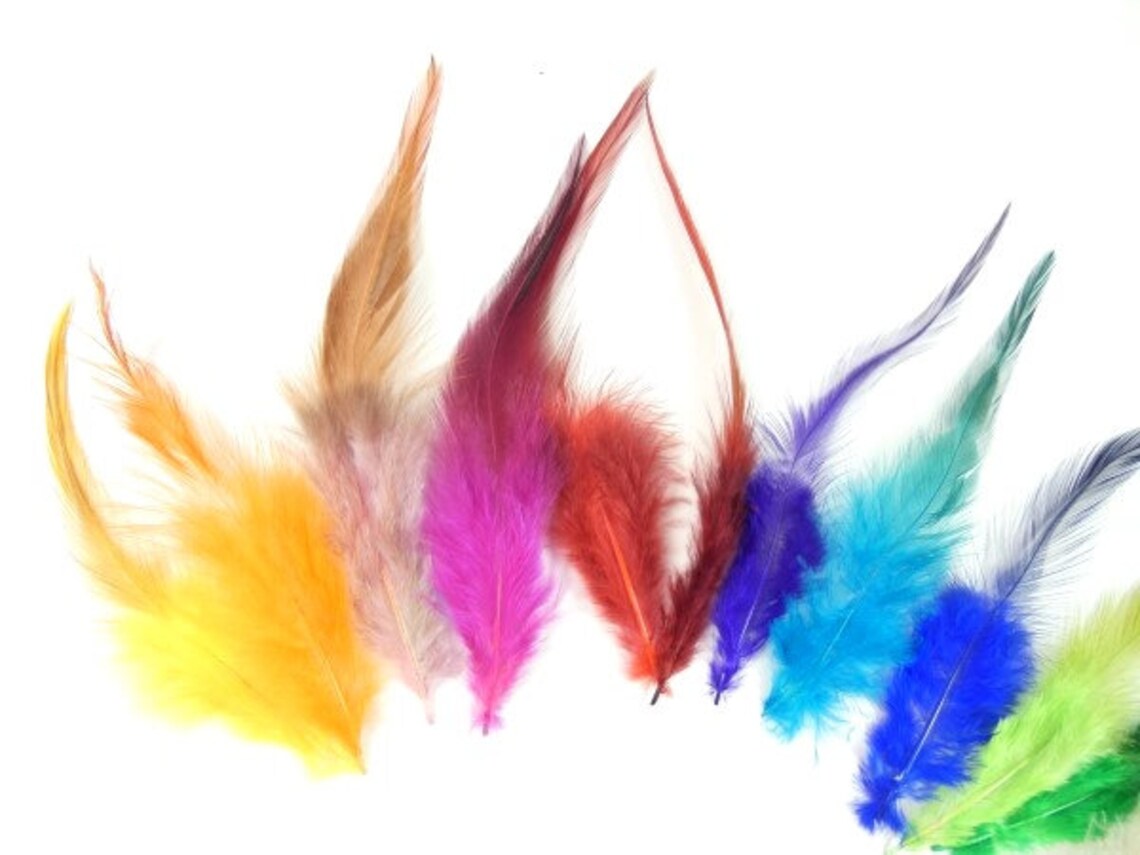 25 hermosas plumas de gallo craft Rooster plumas plumas únicas | Etsy