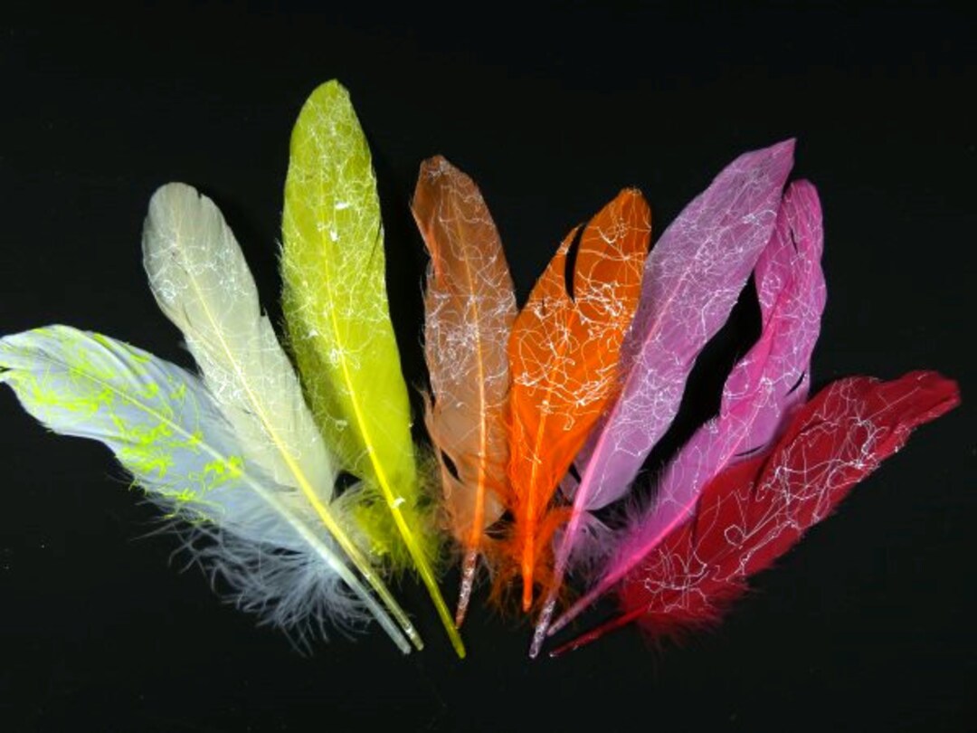 15 Painted Goose Feathers White Paint Feathers Craft Goose Feathers ...