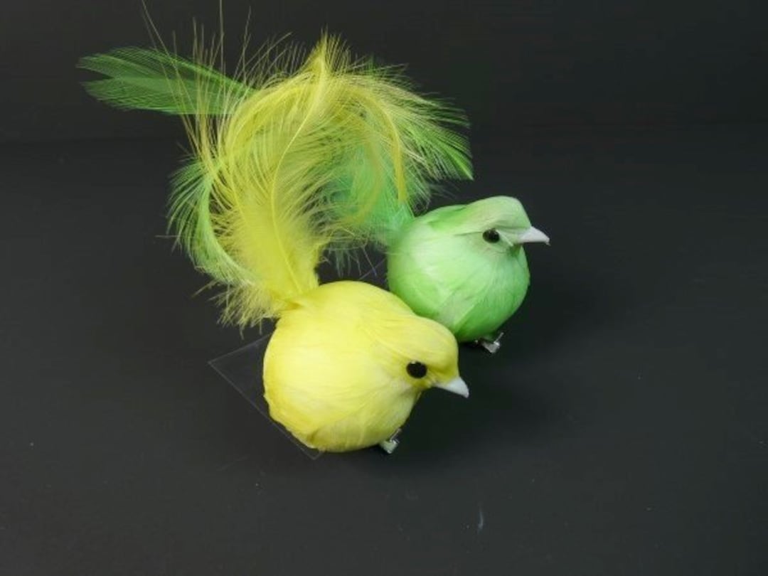 2 Fat Birds Yellow Or Green Cake Topper Birds Craft Birds Etsy 2-fat-birds-yellow-or-green-cake-topper-birds-craft-birds-etsy