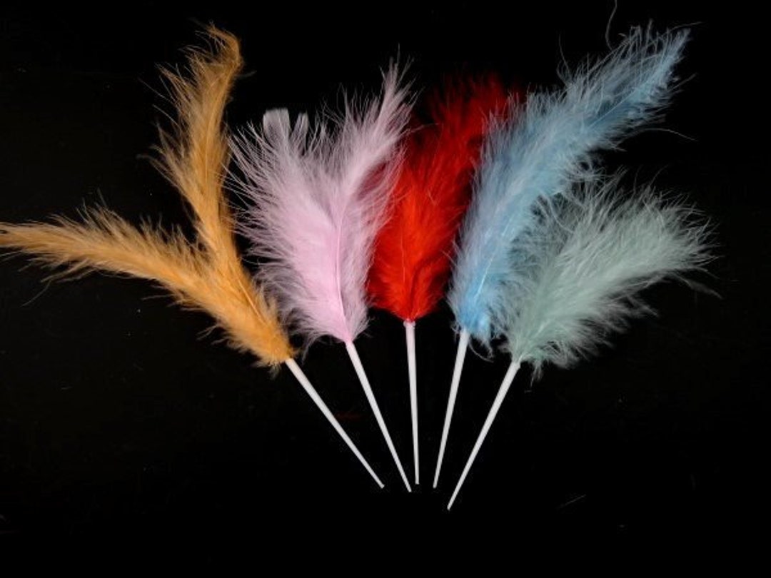 20 Long Feathers in A Plastic White Point Orange Pink Red Blue Green ...