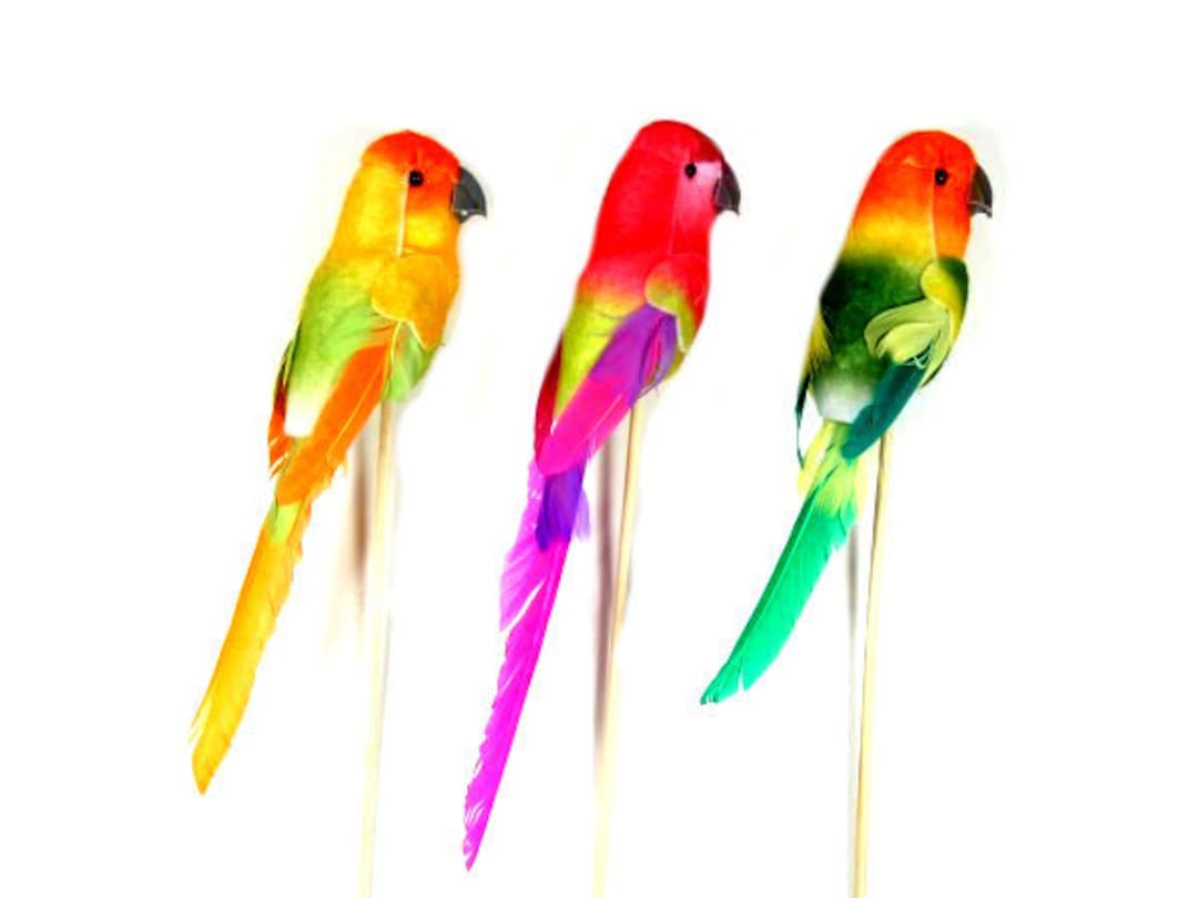 1 Orange Pink or Green Parrot Parakeet Fake Artificial Bird Cake Topper ...