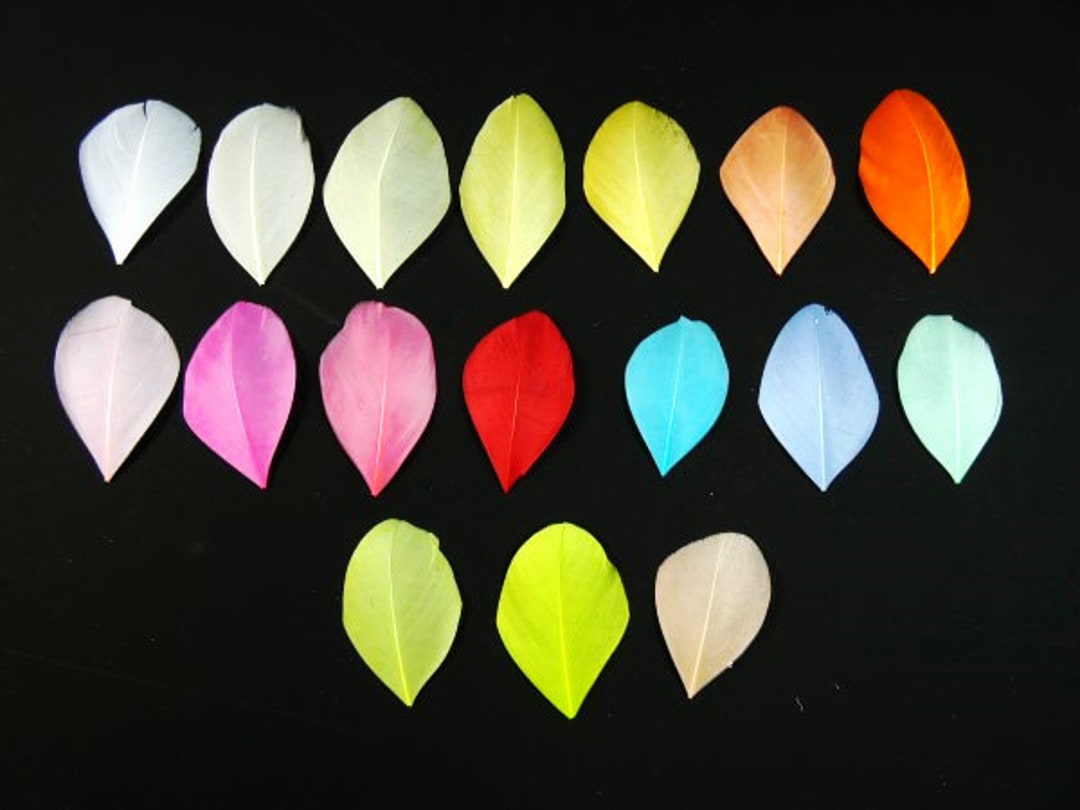 100 Mini Feathers White Craft Supplies Scrapbooking Embellishments ...