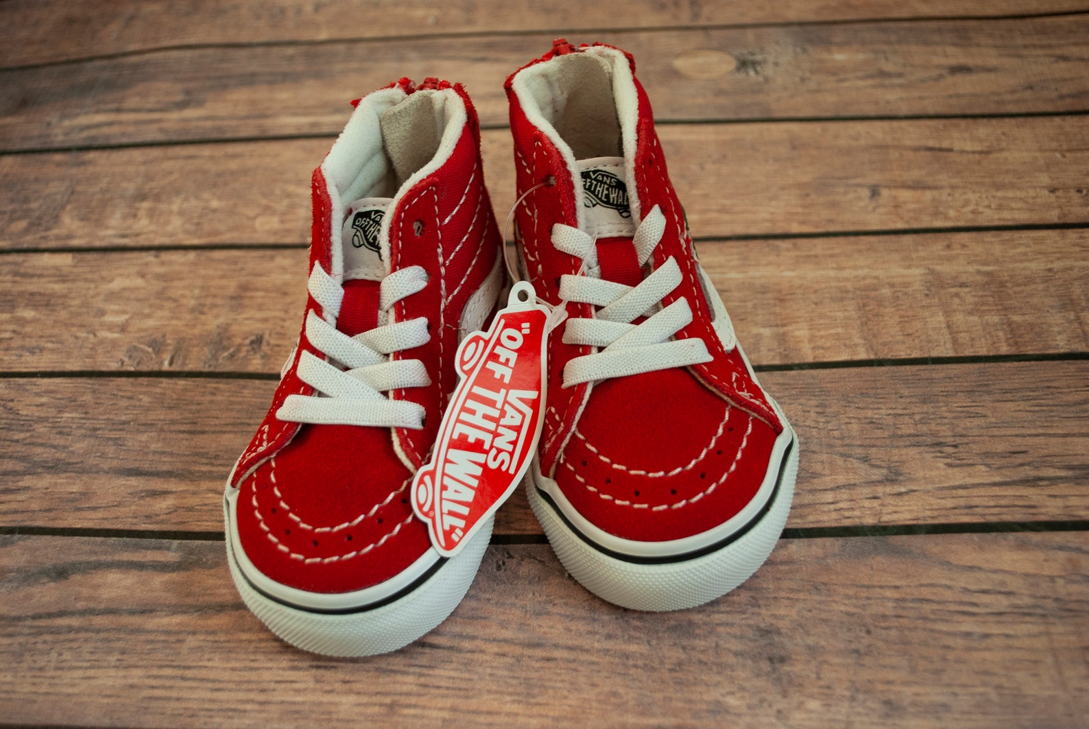 Dinosaur Hand Painted High Top Vans Toddler High Top Vans - Etsy