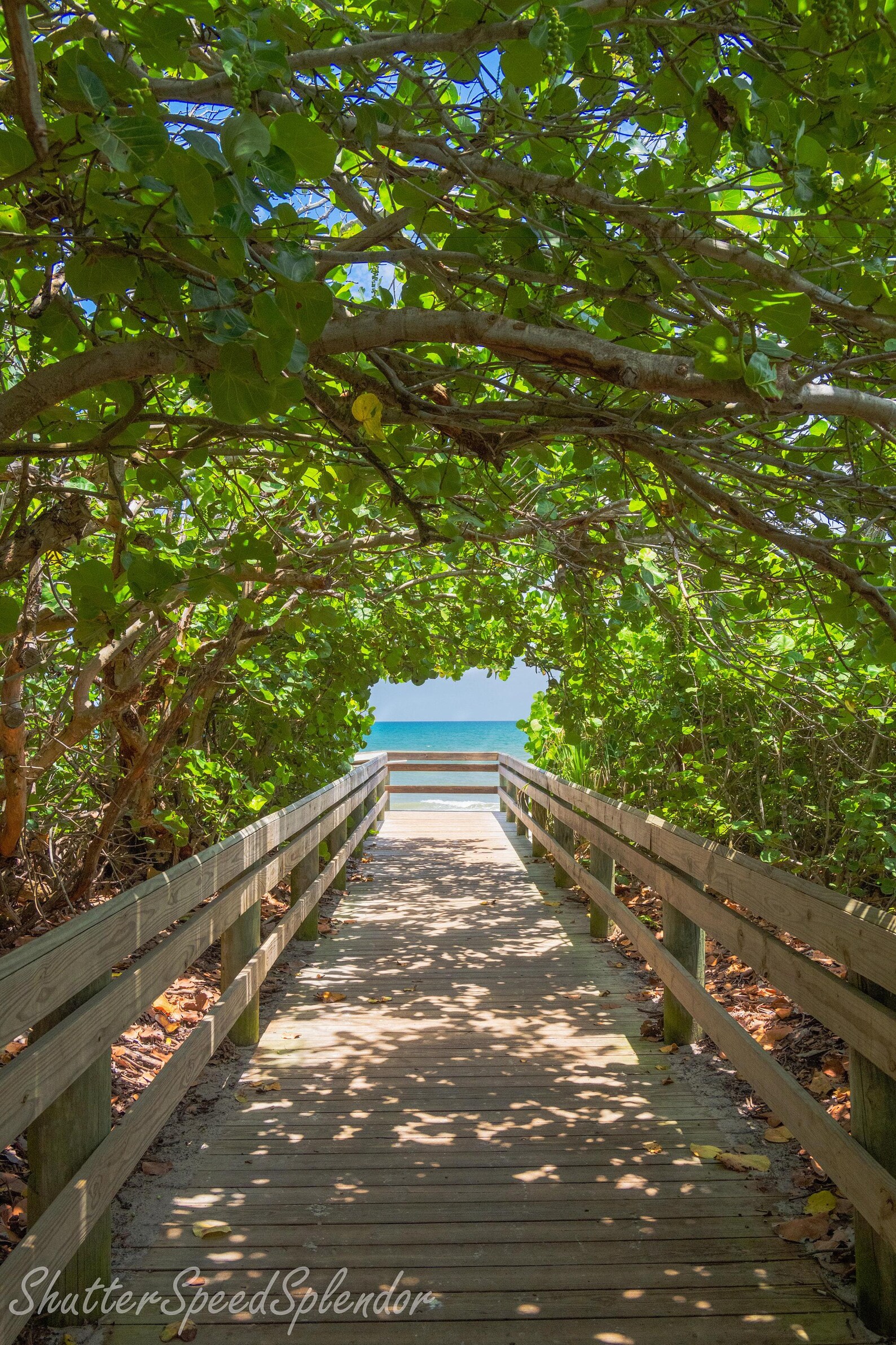 Paradise Beach, Melbourne Florida, Space Coast, Atlantic Ocean ...
