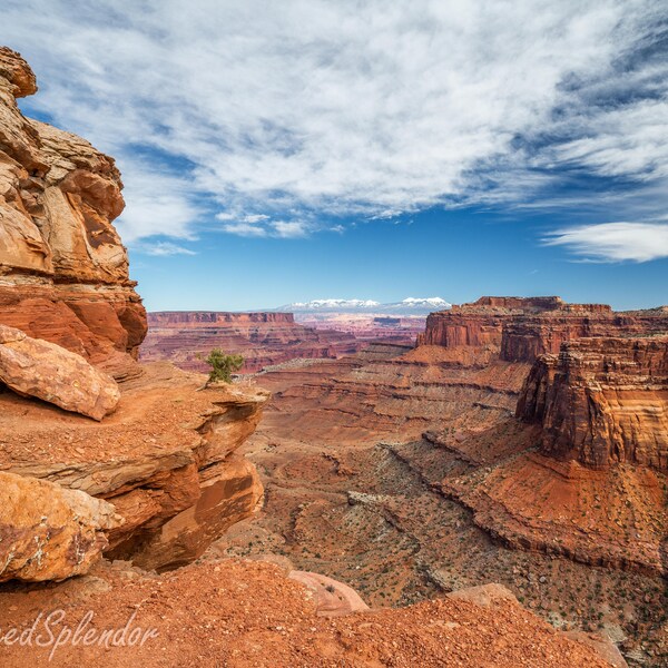 Moab Fine Art - Etsy