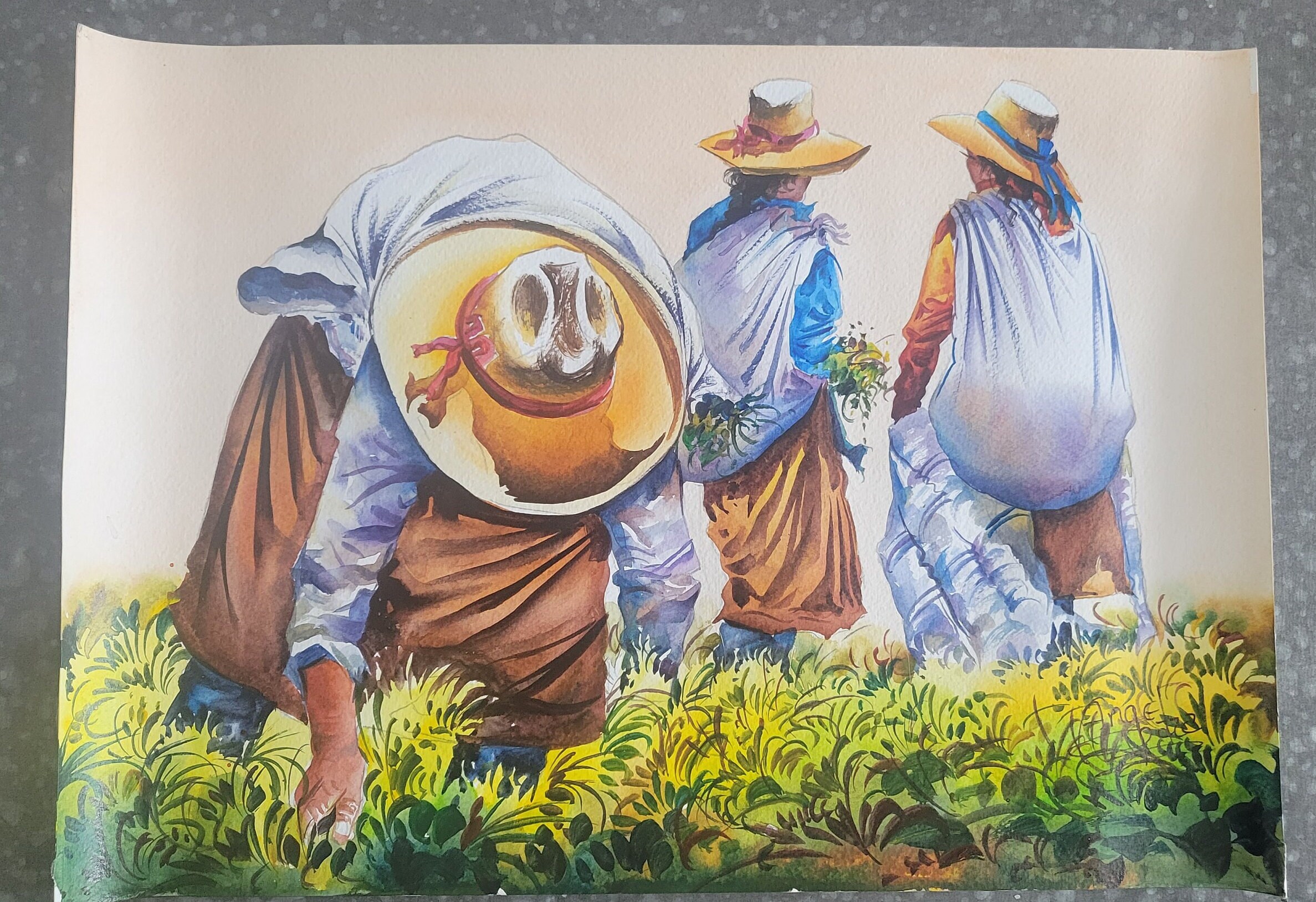 Peruvian Farmers Harvesting Potatoes, Watercolor Painting Original Peru ...