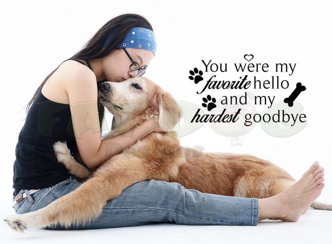 Dog Memorial You Were My Favorite Hello and My Hardest Goodbye Custom ...