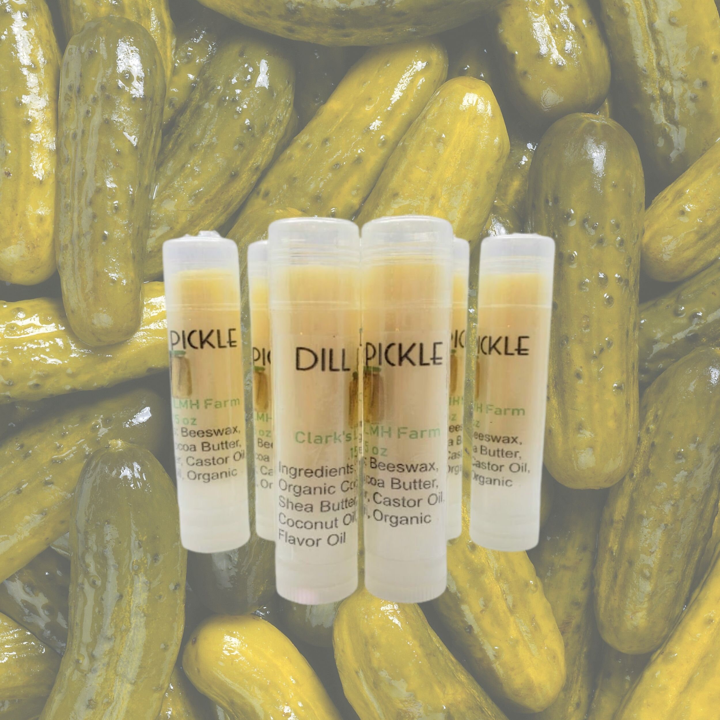 Dill Pickle Lip Balm With Cocoa Butter and Shea Novelty Fun - Etsy UK