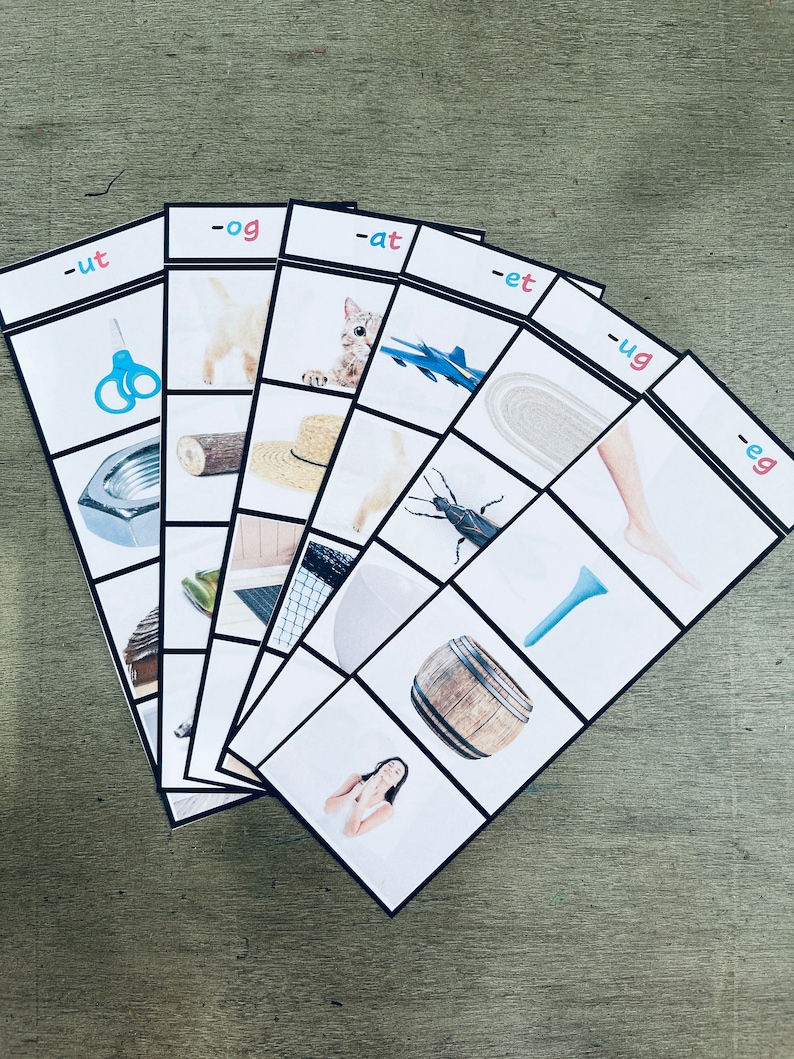 Montessori Language - Word Family Ladder - Etsy