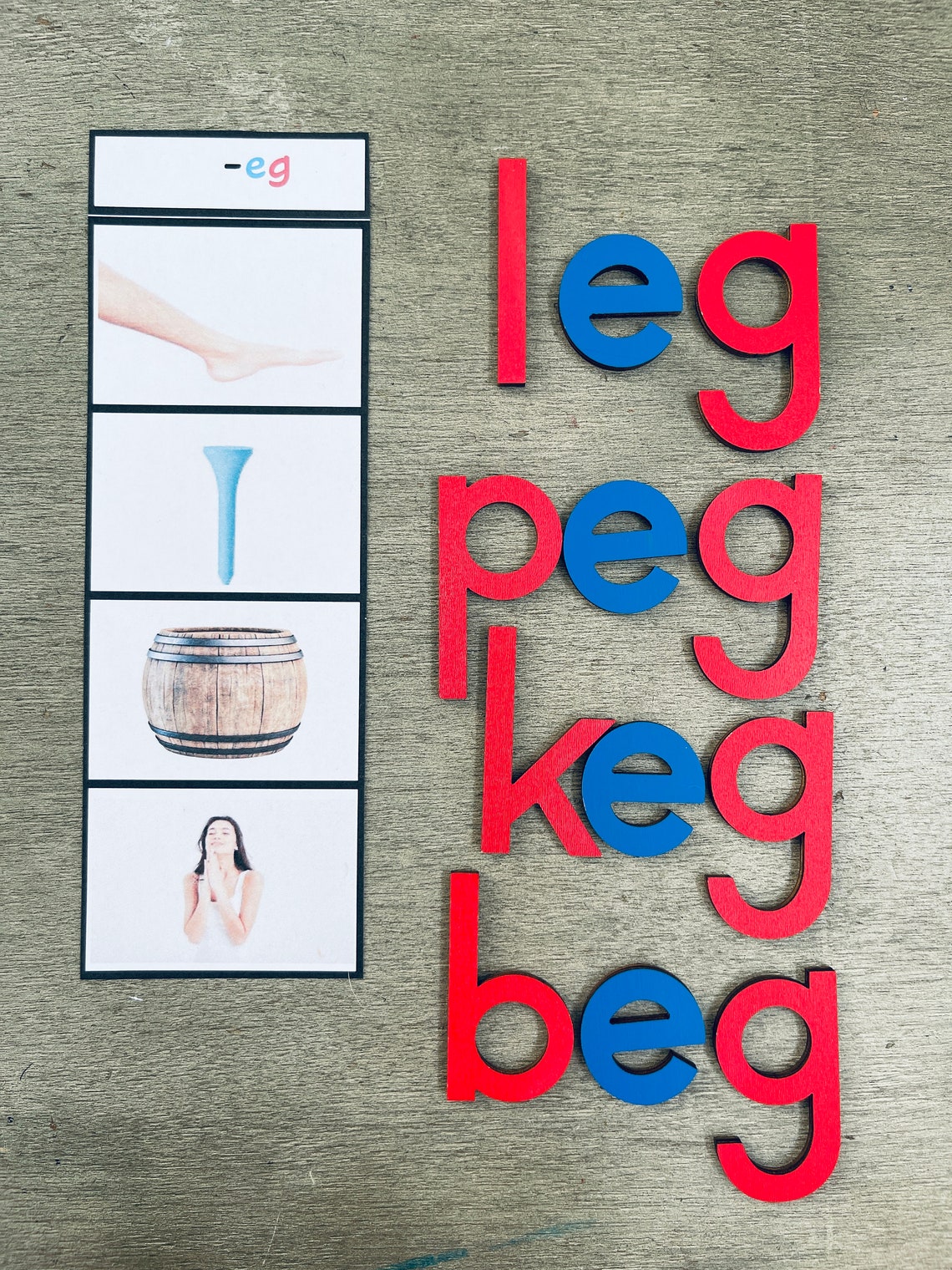 Montessori Language - Word Family Ladder - Etsy