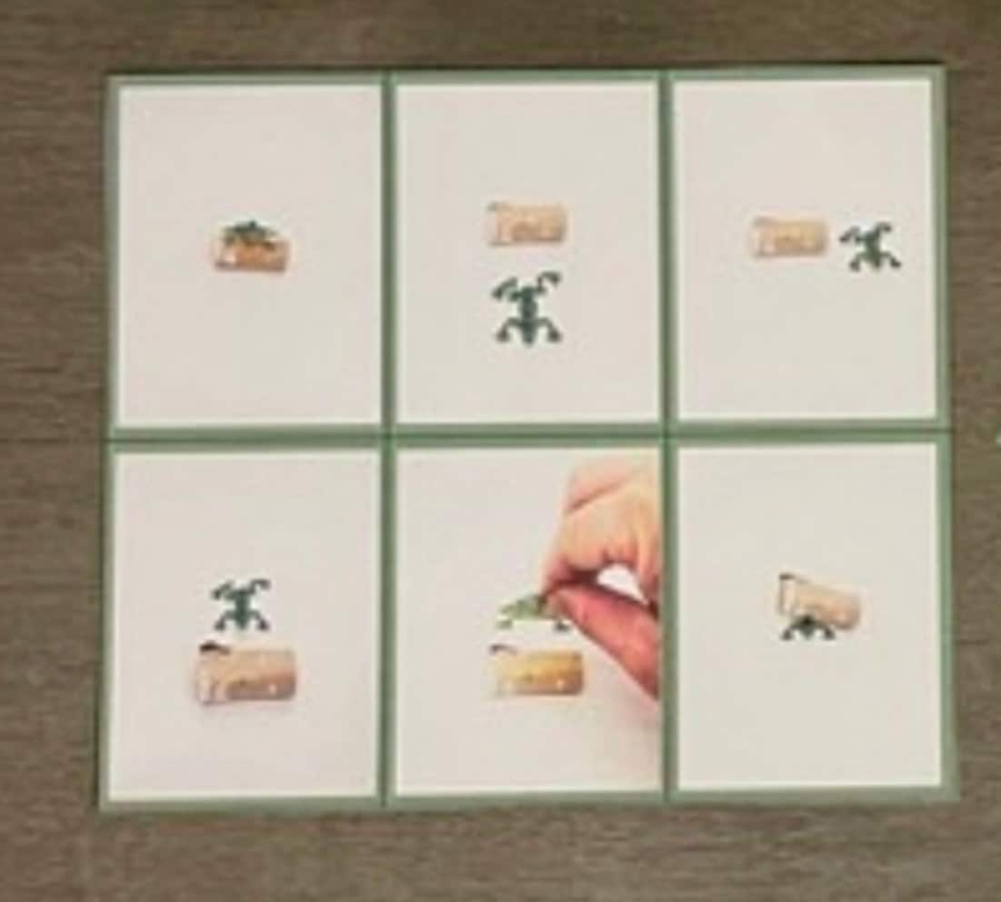 Montessori - Preposition - Frog and Log - Etsy