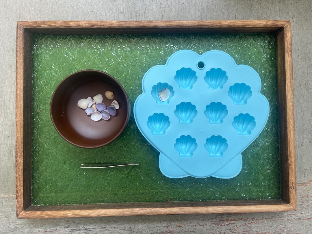 Sea Shell Fine Motor Activity - Etsy
