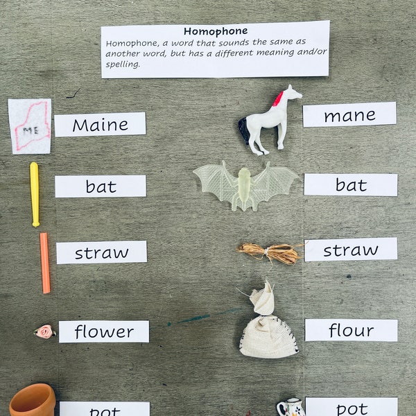Montessori Language - Etsy