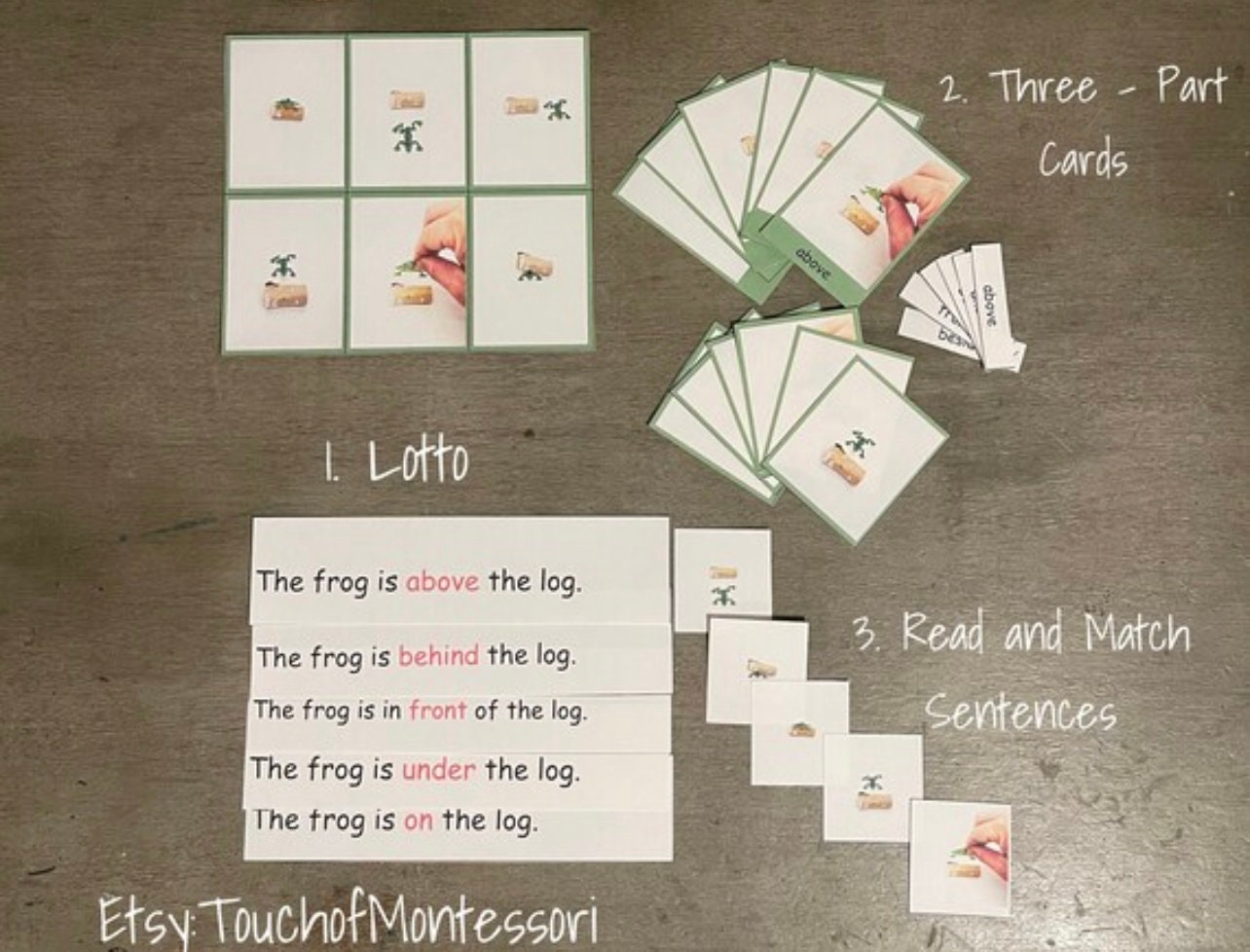 Montessori - Preposition - Frog and Log - Etsy