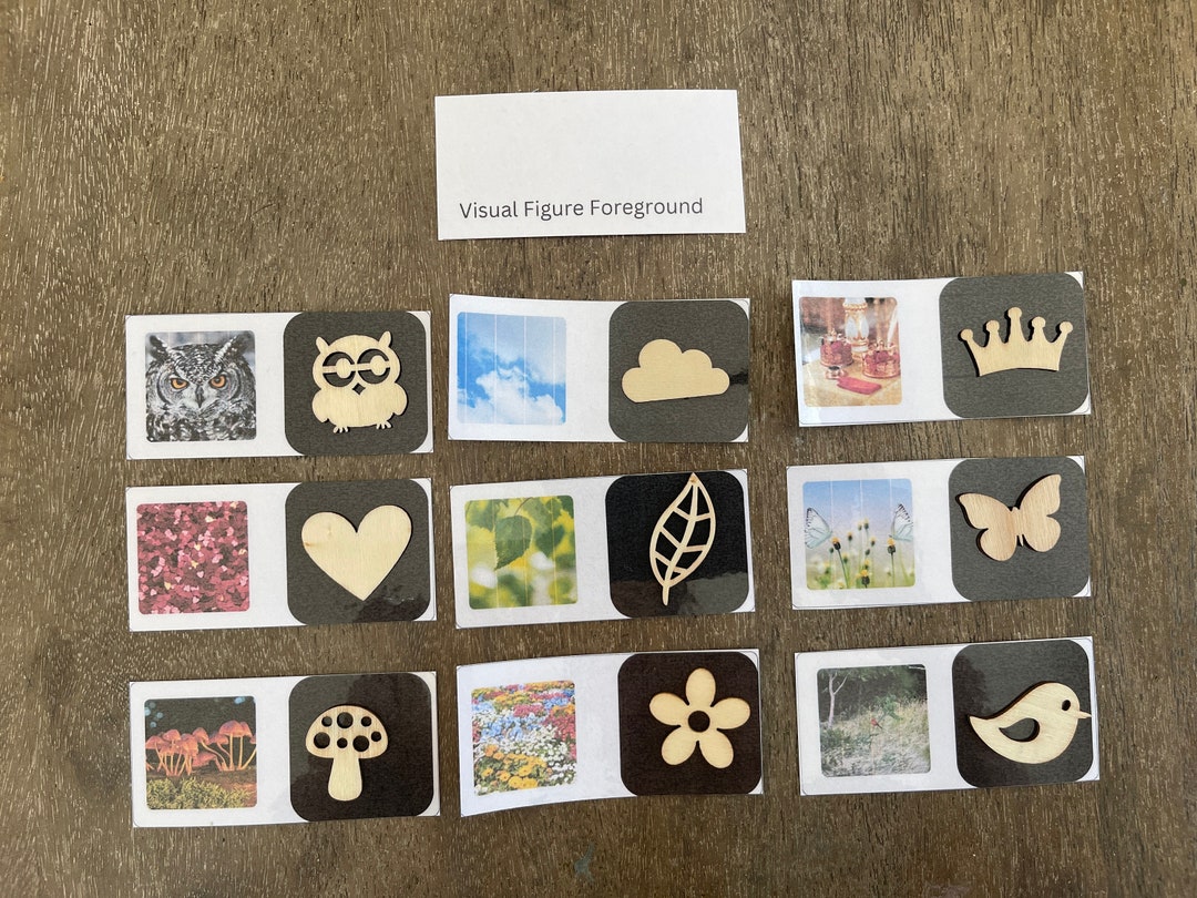 Montessori Visual Perception Activities 3 in 1 - Etsy