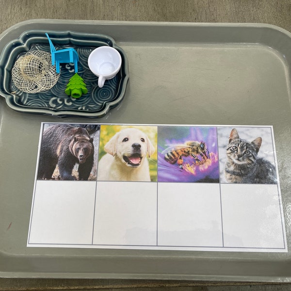 Montessori Valentine Day Themed With 5 Activities - Etsy