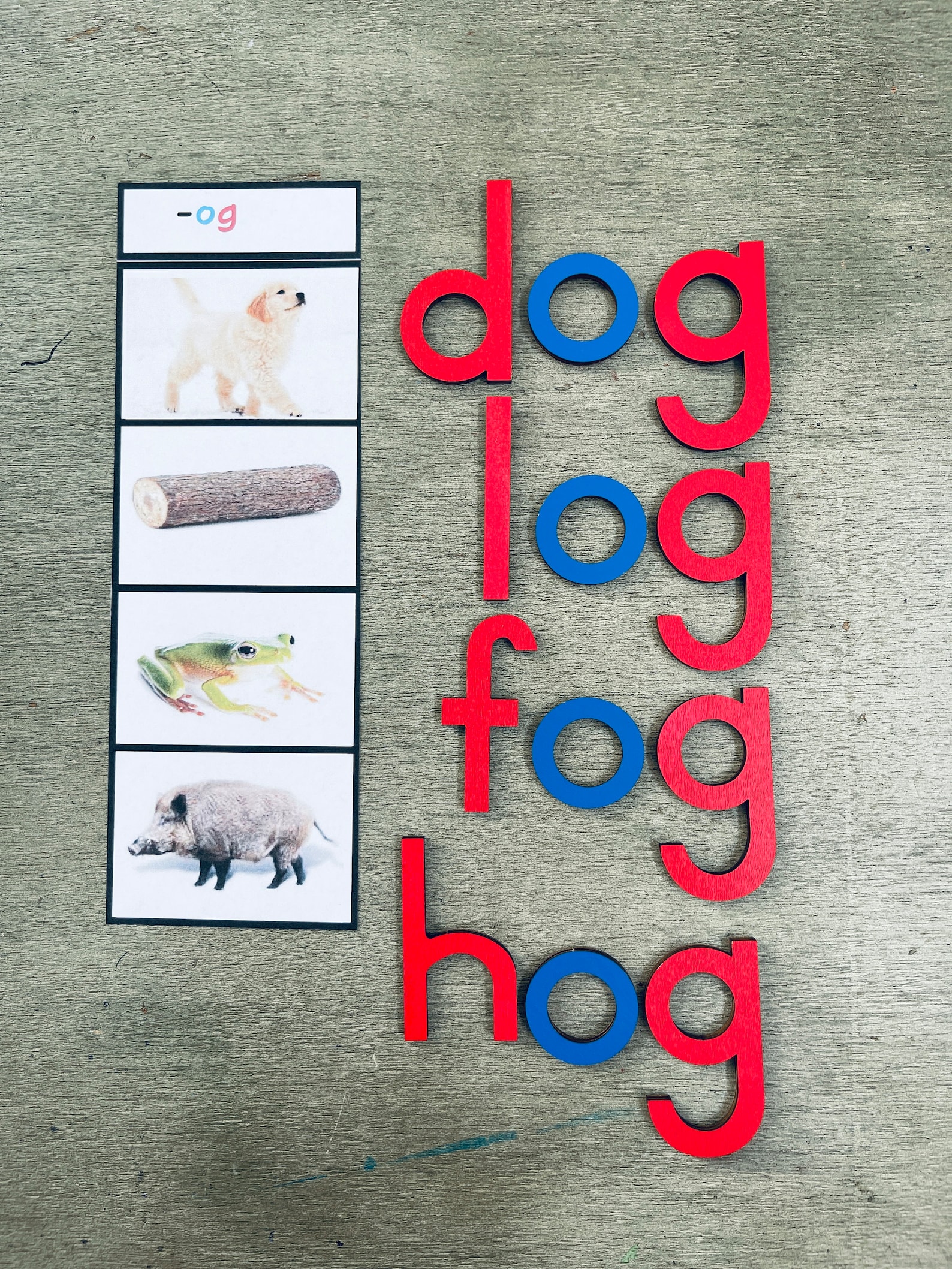 Montessori Language - Word Family Ladder - Etsy