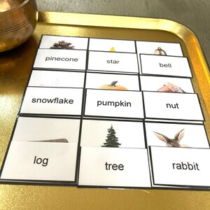 Montessori Phonetic Lotto With Objects - Set 1 - Etsy