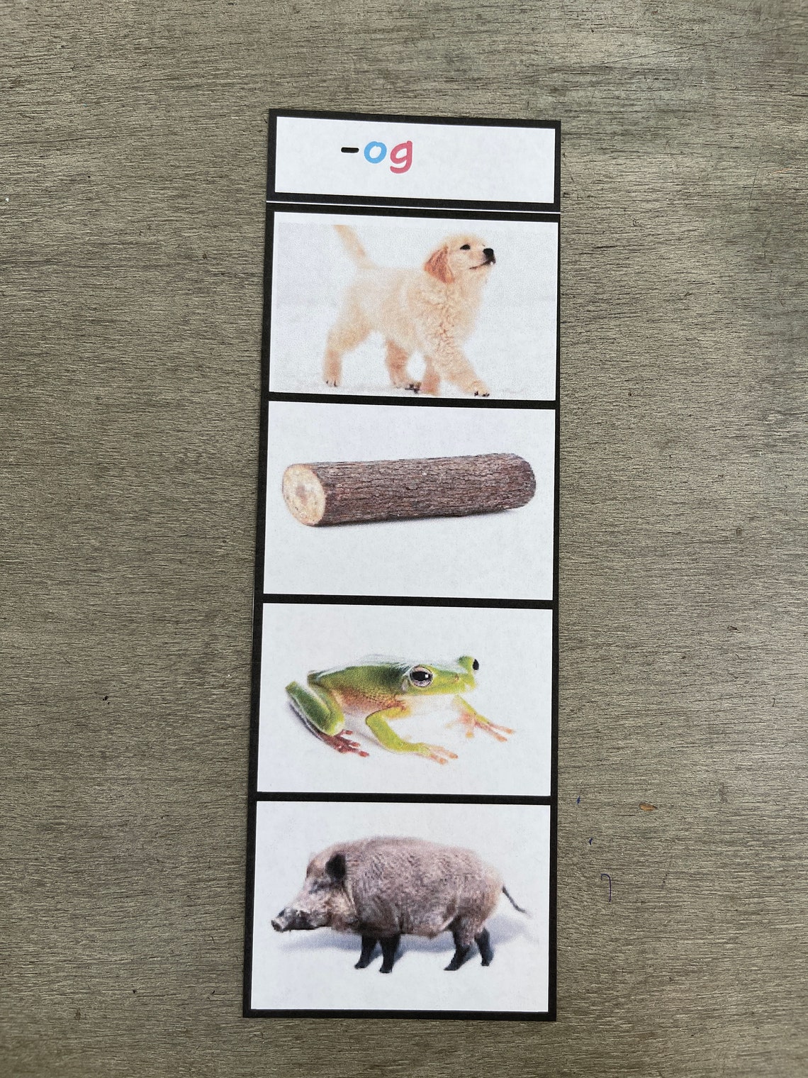 Montessori Language Word Family Ladder - Etsy