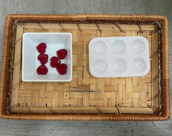 Fine Motor Transfer Activity for Montessori Practical Life Lessons With ...