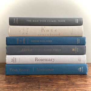 Blue and Gray Book Stack, Decorative Books Set, Light Blue Decor, Beach ...