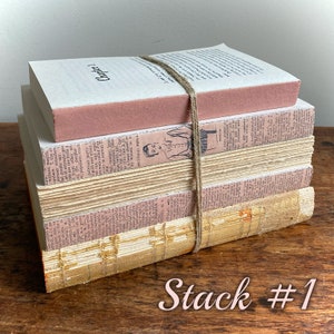 Rustic Decorative Book Set in Dusty Rose and Beige - Etsy