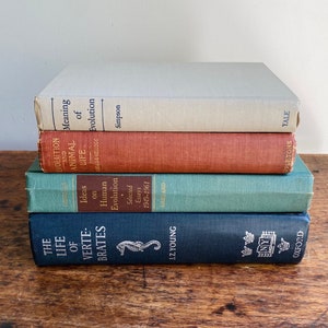 Vintage Stack of Books About Animal Life and Evolution, Old Science ...