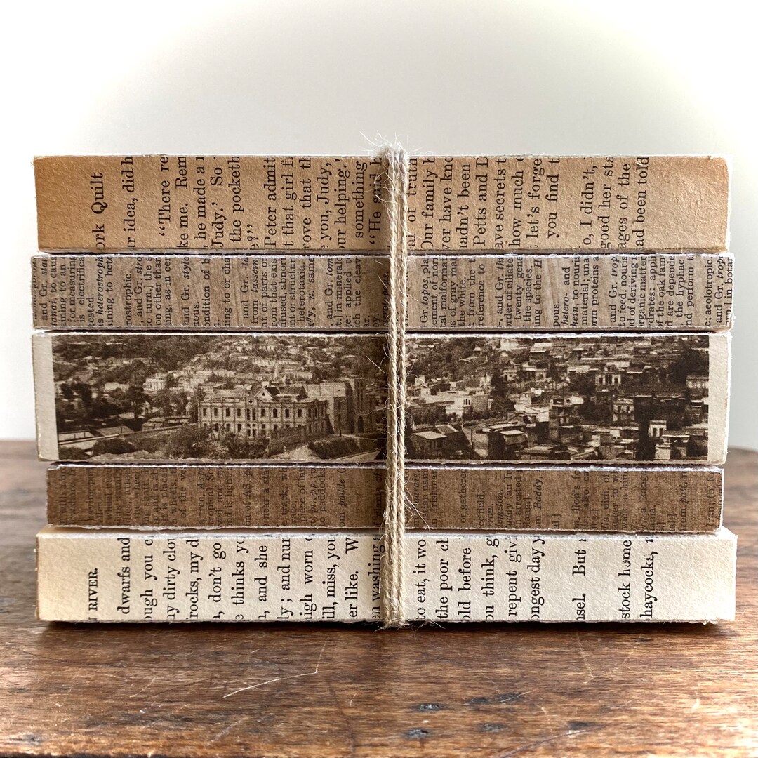 Sepia Book Stack Rustic Decorative Farmhouse Books Neutral - Etsy