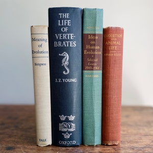 Vintage Stack of Books About Animal Life and Evolution, Old Science ...