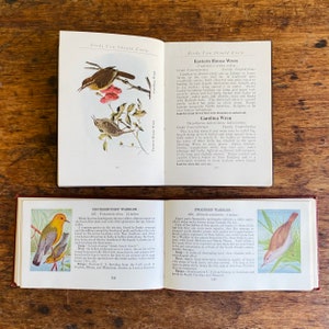 Vintage Bird Field Guides, Bird Guide: Land Birds East of the Rockies ...