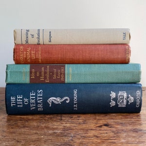 Vintage Stack of Books About Animal Life and Evolution, Old Science ...