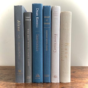 Blue and Gray Book Stack, Decorative Books Set, Light Blue Decor, Beach ...