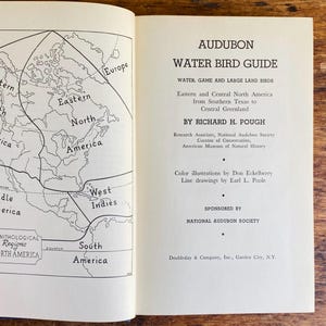 Audubon Water Bird Guide 1951, Vintage Bird Field Guide - Etsy