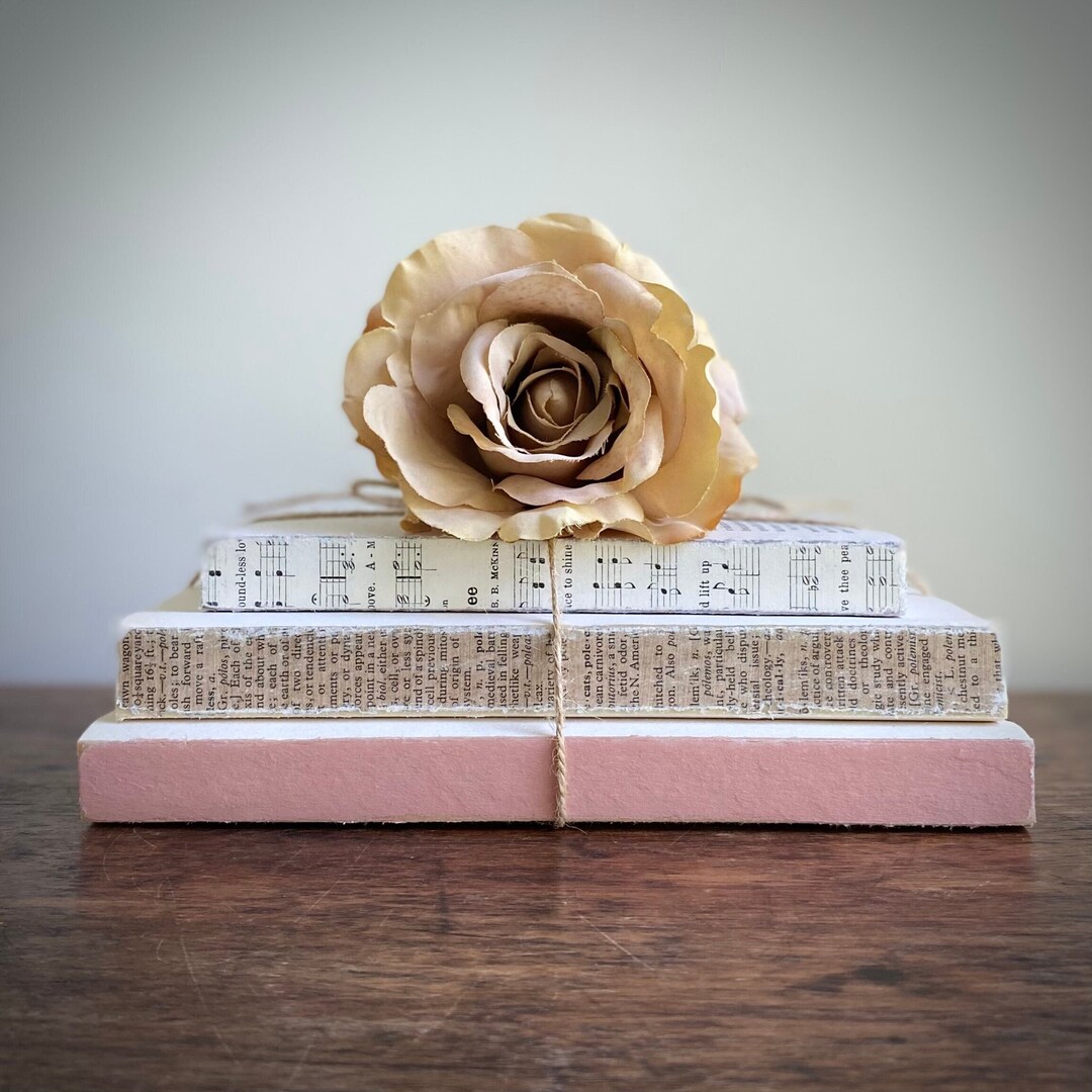 Pink and Tan Book Stack, Blush and Beige Books, Home Decor - Etsy