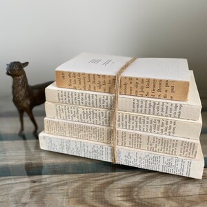 Tan and Ivory Books, Neutral Rustic Decorative Farmhouse Book Stacks ...