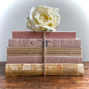 Rustic Decorative Book Set in Dusty Rose and Beige - Etsy