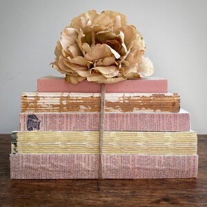 Rustic Decorative Book Set in Dusty Rose and Beige - Etsy