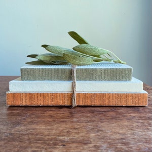 Olive Green and Burnt Orange Book Stack, Stacked Books, Fall Decor ...