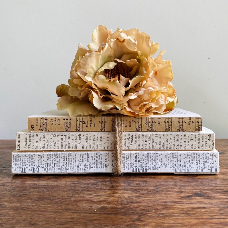 Upcycled Book Shelf - Etsy