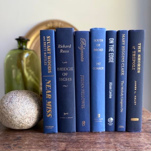 Blue Decorative Book Set, Book Bundle, Blue Decor, Shelf Decor, Books ...