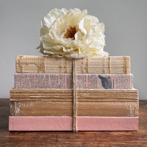 Rustic Decorative Book Set in Dusty Rose and Beige - Etsy