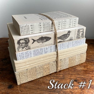 Neutral Rustic Book Stack, Vintage Inspired Books, Decorated With ...
