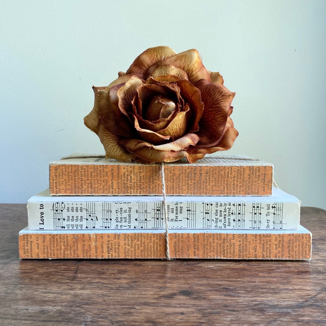 Burnt Orange Book Stack, Orange Stacked Books, Fall Decor, Autumn ...
